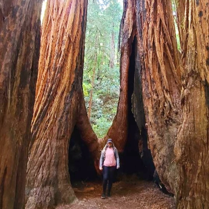 Get Hired | TotalMed Healthcare Staffing Solutions